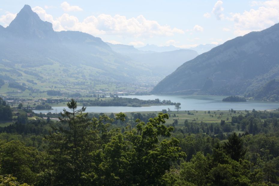 Brennpunkt Landschaft Schweiz